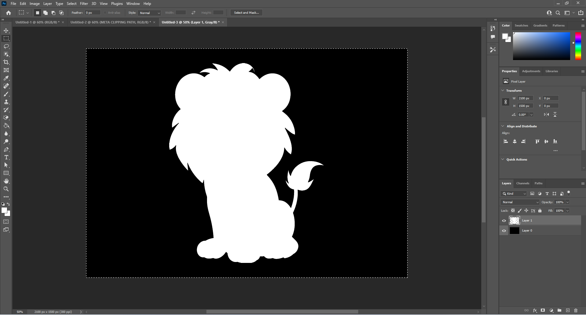 Clipping Mask in Photoshop: Everything You Need to Know - Meta Clipping Path