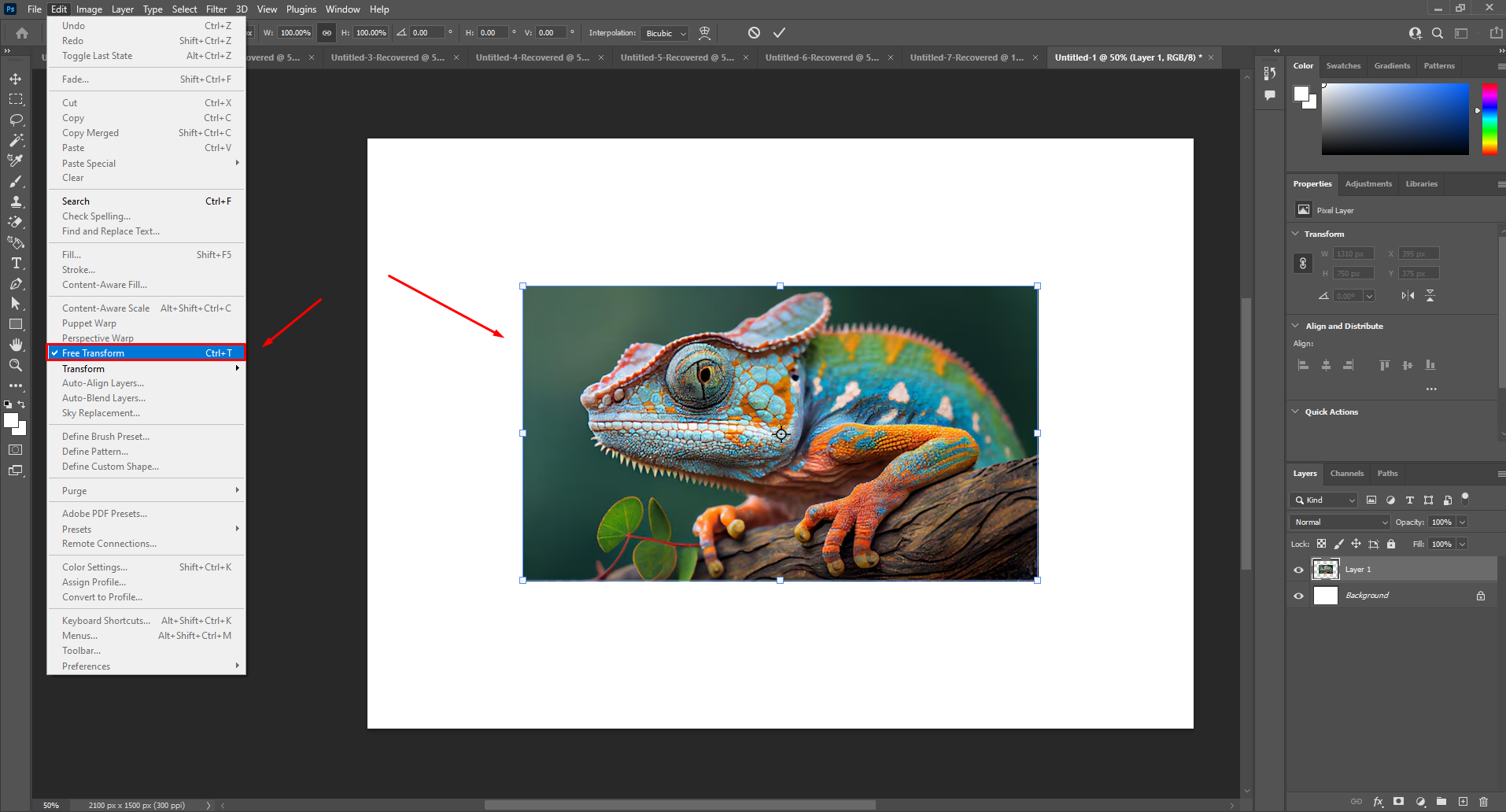 Clipping Mask in Photoshop: Everything You Need to Know - Meta Clipping Path