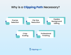 What is a Clipping Path? A Guide to Precise Object Isolation - Meta ...