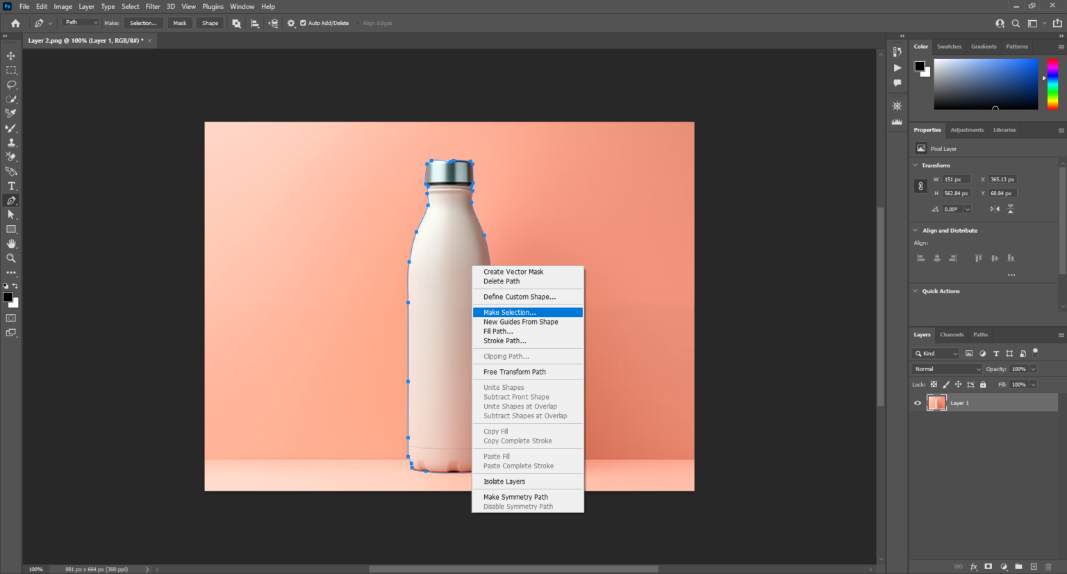 What is a Clipping Path? A Guide to Precise Object Isolation - Meta Clipping Path