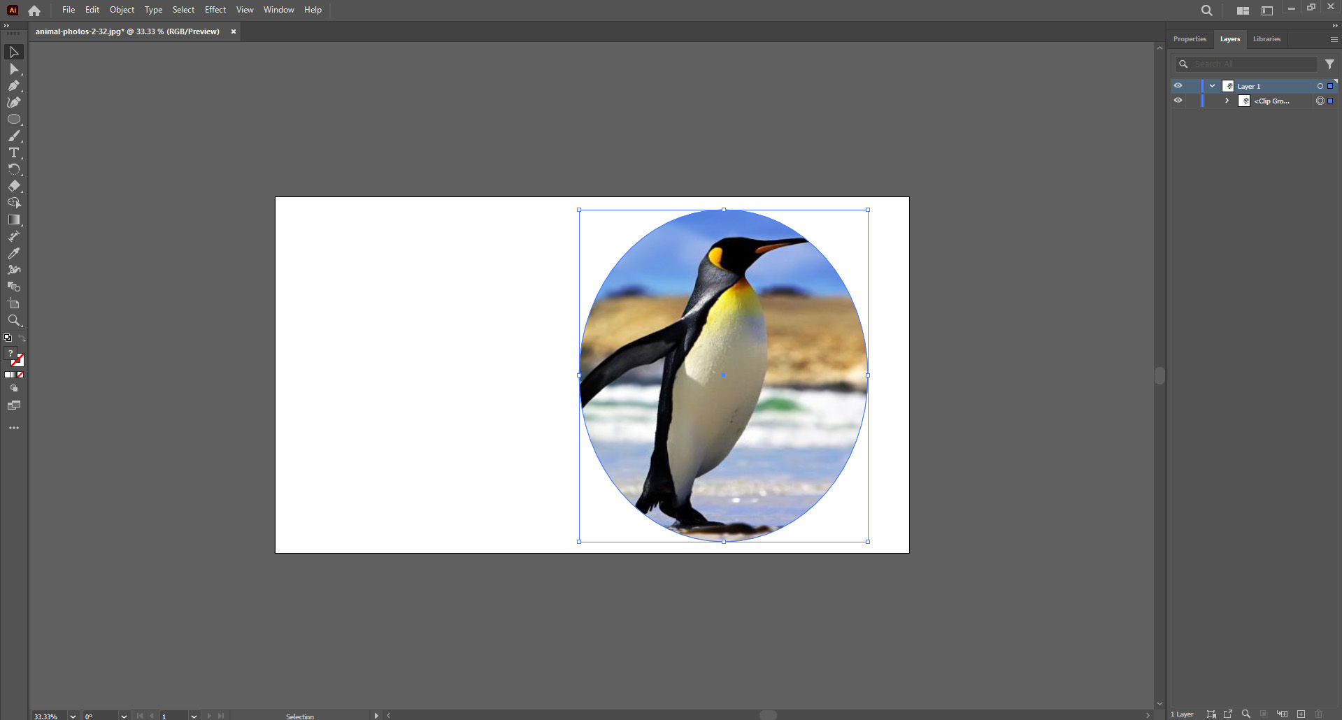 How to Convert Clipping Mask to Shape Illustrator [Expert Photo-editing ...