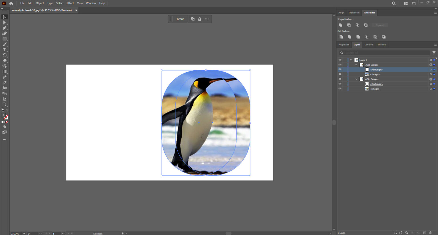 How to Convert Clipping Mask to Shape Illustrator [Expert Photo-editing ...