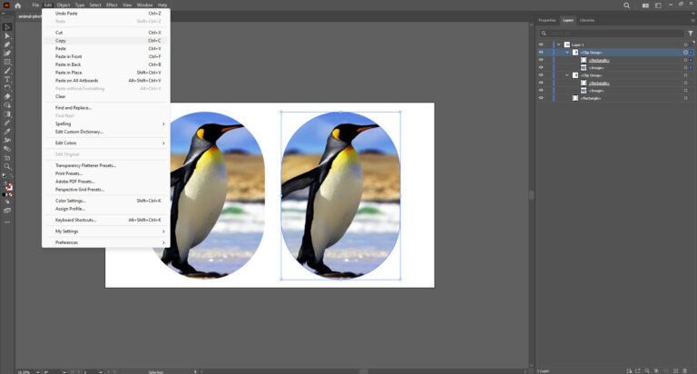 How to Convert Clipping Mask to Shape Illustrator [Expert Photo-editing ...