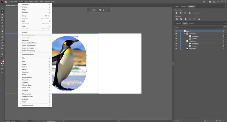 How to Convert Clipping Mask to Shape Illustrator [Expert Photo-editing ...