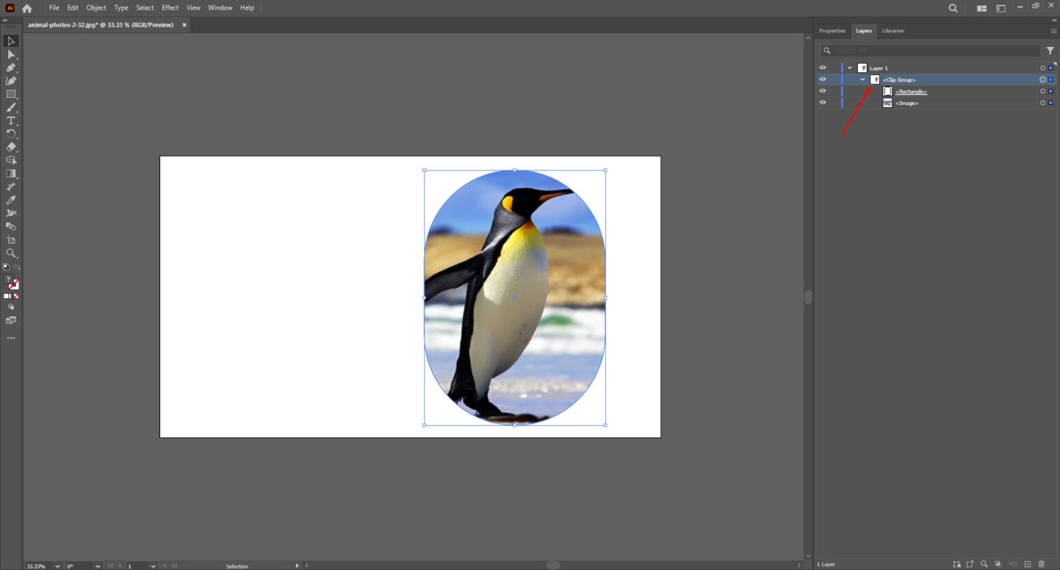 How to Convert Clipping Mask to Shape Illustrator [Expert Photo-editing Tips for You] - Meta ...