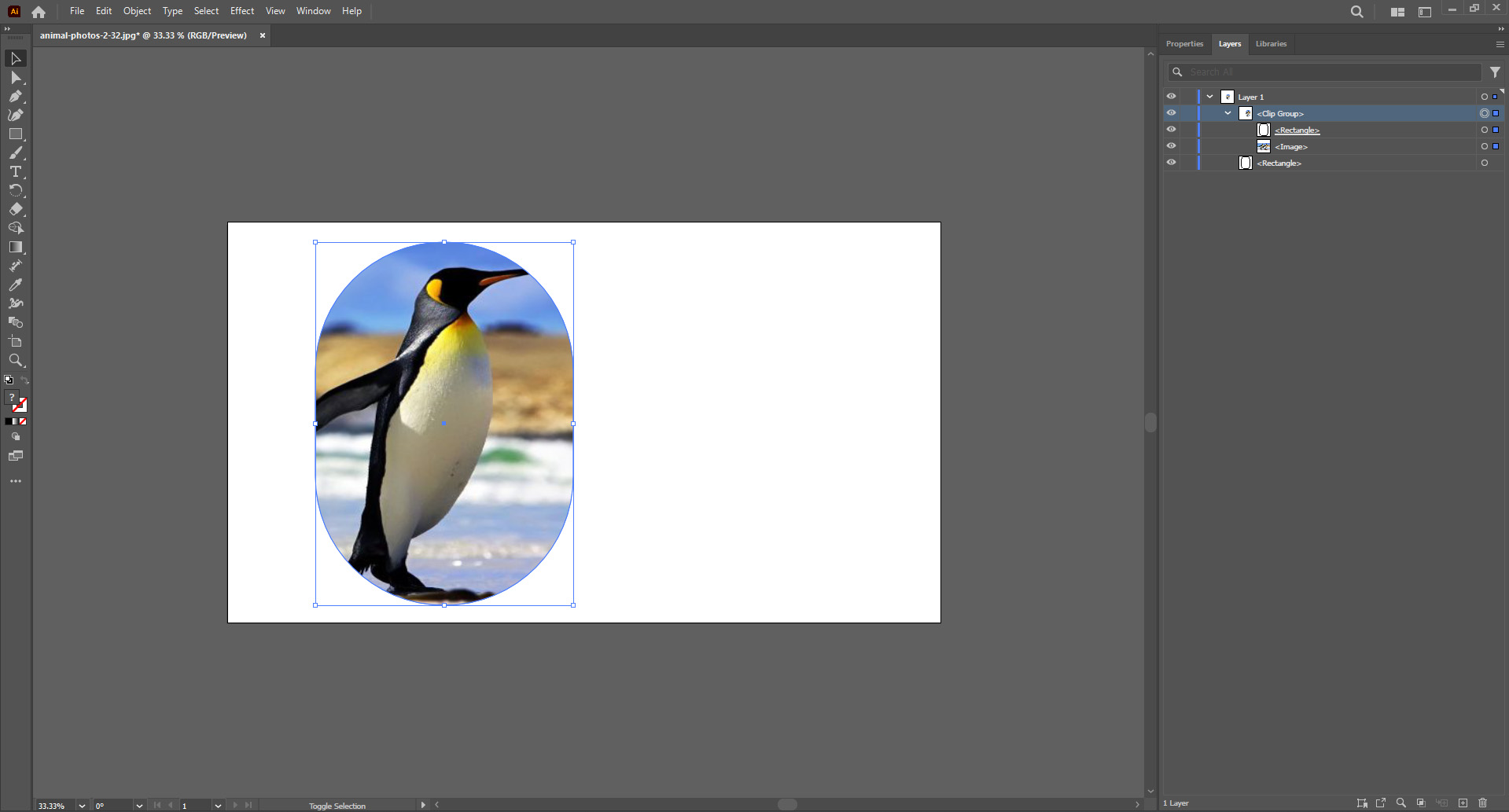 How to Convert Clipping Mask to Shape Illustrator [Expert Photo-editing ...