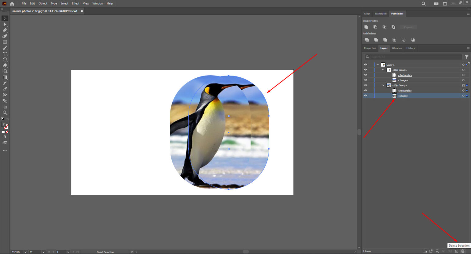 How to Convert Clipping Mask to Shape Illustrator [Expert Photo-editing ...