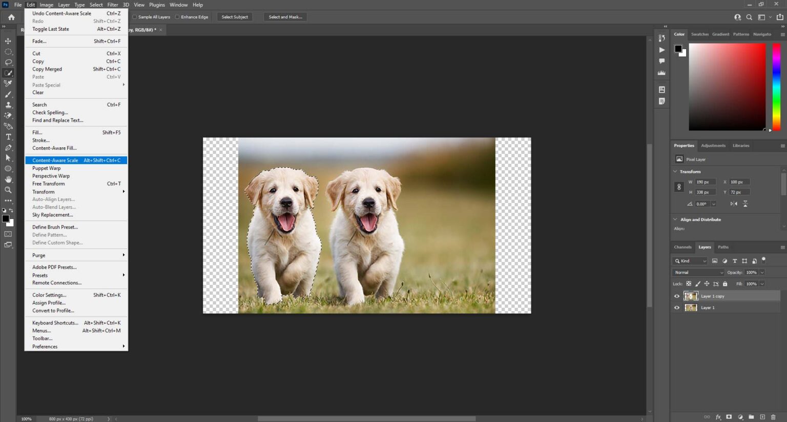 How to Fill Background in Photoshop in Three Easy Ways - Meta Clipping Path