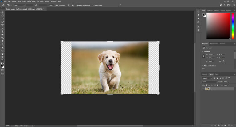 How to Fill Background in Photoshop in Three Easy Ways - Meta Clipping Path