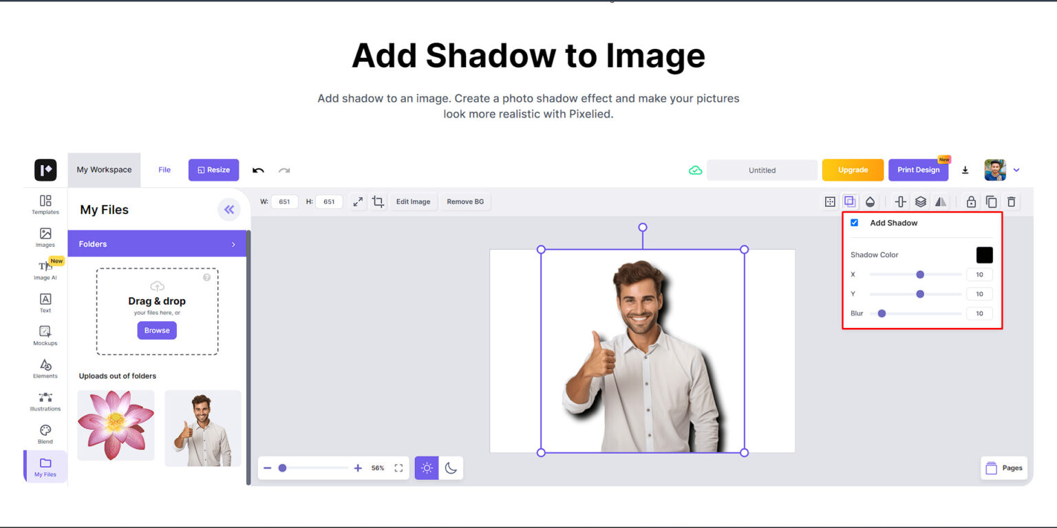 Top 5 Editors to Add Shadow to Picture Online in 2025 - Meta Clipping Path
