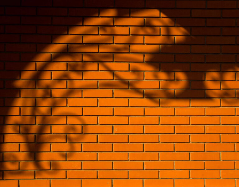 7 Creative Shadow Photography Ideas with Professional Tips - Meta ...